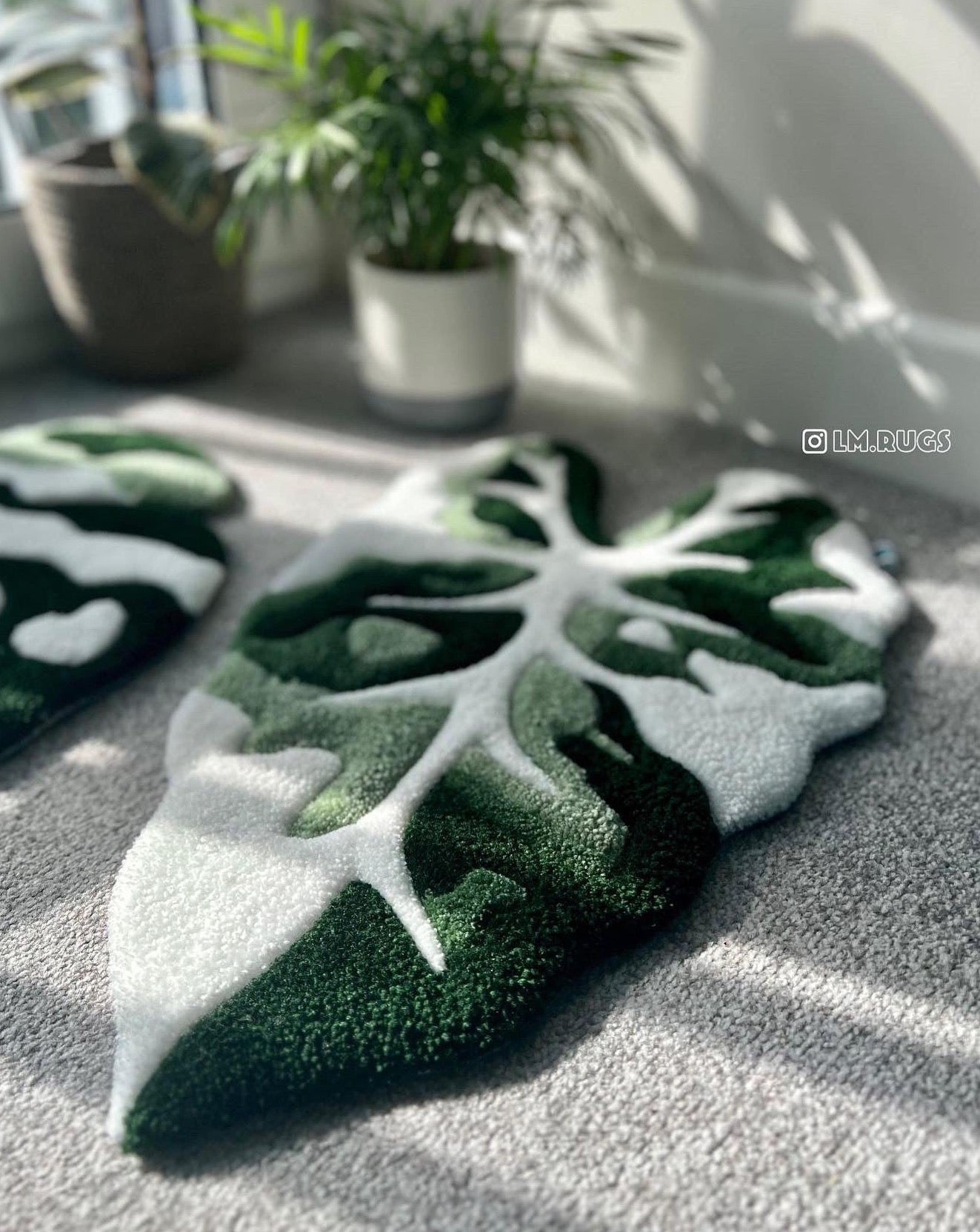 Alocasia & Monstera Rugs – Labeled Masterpieces